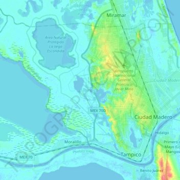Tampico地形图、海拔、地势