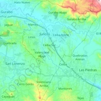 Juncos地形图、海拔、地势