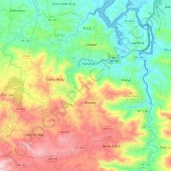 Naranjito地形图、海拔、地势