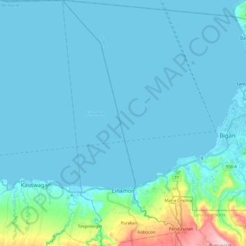 Linamon地形图、海拔、地势