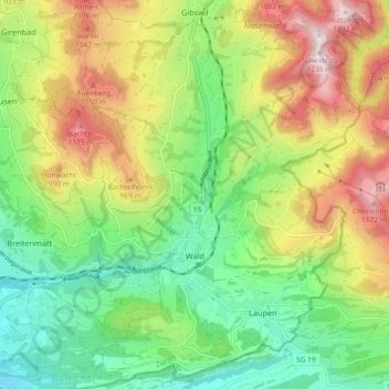 Wald地形图、海拔、地势